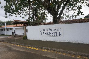 Cartago’s gorgeous Lankester Botanical Gardens