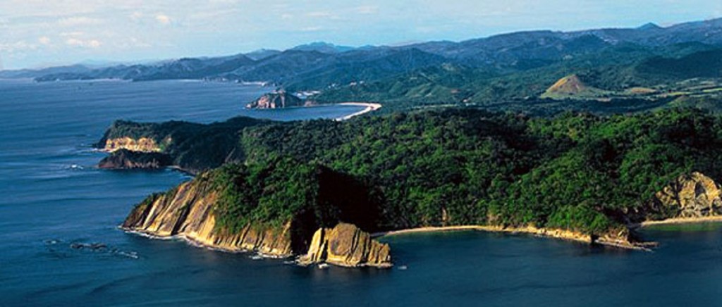 Coco Beach- The perfect spot for a social getaway!